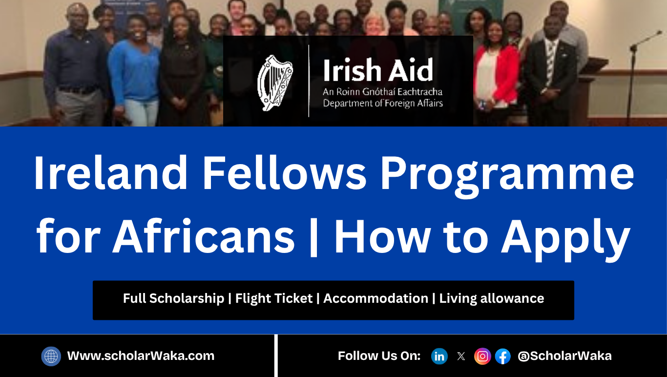 Ireland Fellows Programme – Africa 2026 | ScholarWaka