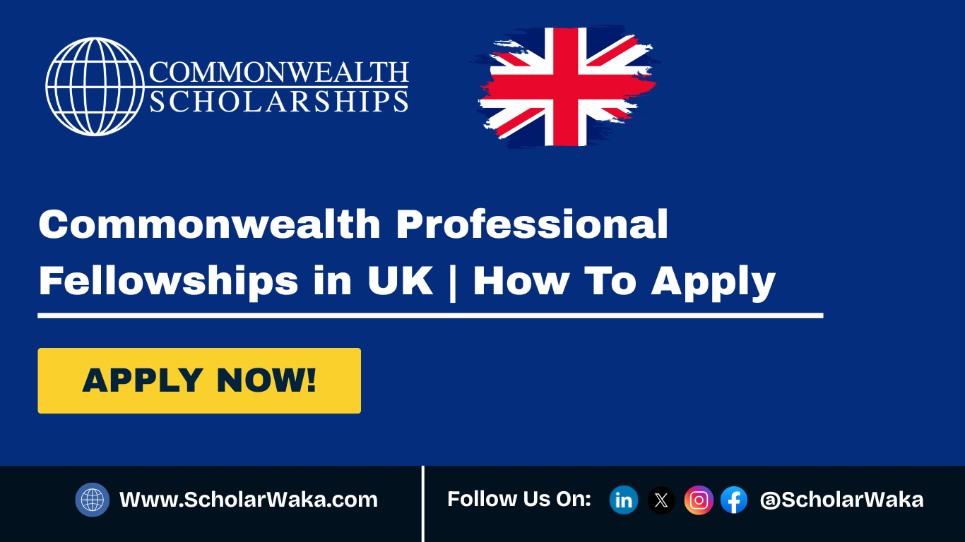 Commonwealth Professional Fellowships 2026 | ScholarWaka