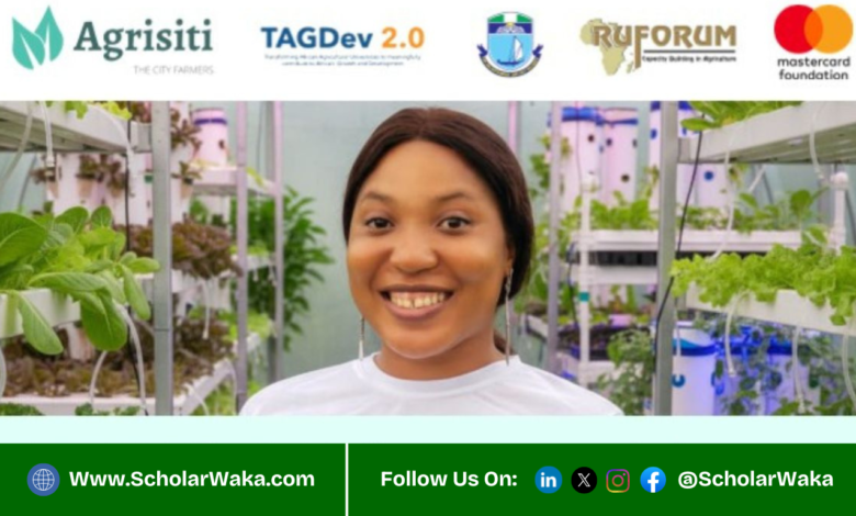 TAGDev2.0 Mastercard Agrisiti Hybrid Digital Training Program | ScholarWaka