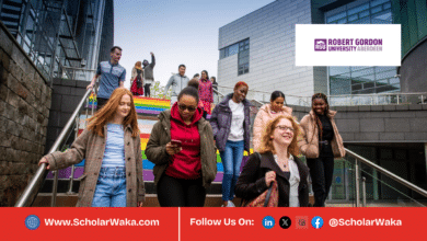 International English Admission Scholarship 2026 | How to Apply ...