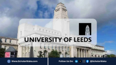 English Proficiency Language Certificate and Where to Get It | ScholarWaka