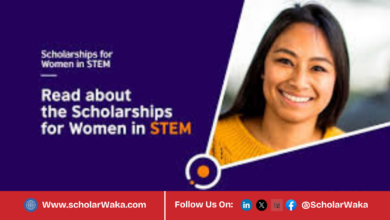 King’s College London Joint PhD Scholarships 2026/2027 in UK | ScholarWaka