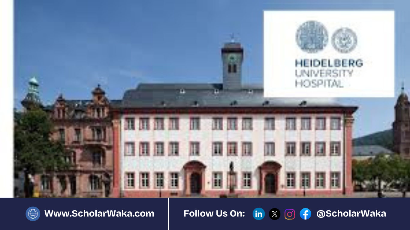 Heidelberg University Scholarships 2026 in Germany | ScholarWaka